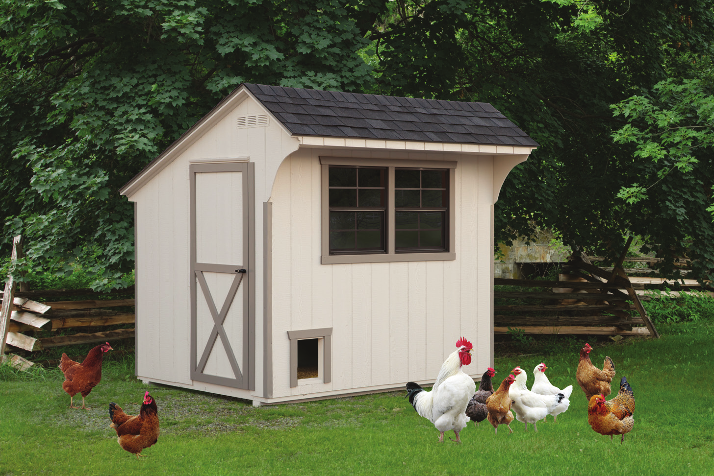 Chicken Coop - Lanco Sheds